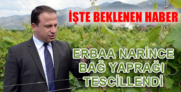 ERBAA NARİNCE BAĞ YAPRAĞI TESCİLLENDİ | ERBAA GÜNDEM | Haber | Haberler ...